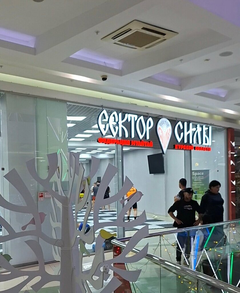 Spor kulüpleri Сектор Силы, Kursk, foto