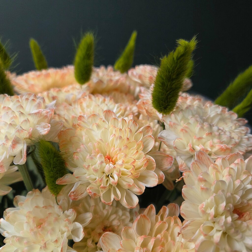 Çiçekçiler Салон цветов, Krasnoyarsk, foto