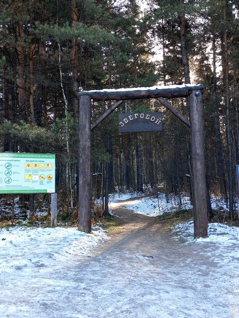 Doğa Эко-тропа Зверобой, Novosibirskaya oblastı, foto