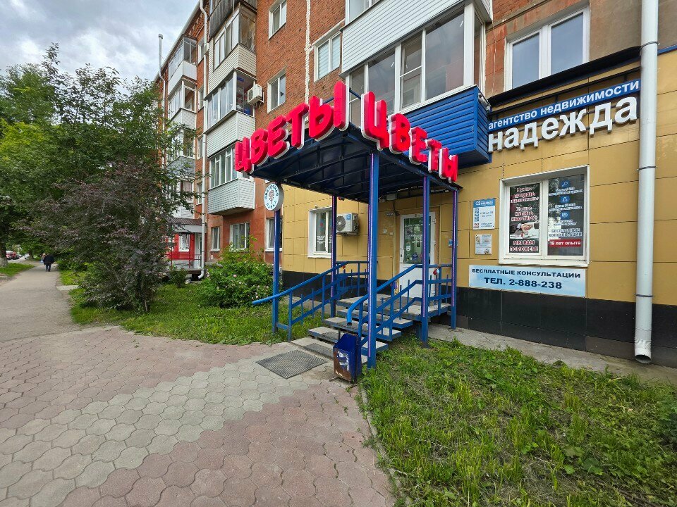 Çiçekçiler Cveterika, Perm, foto