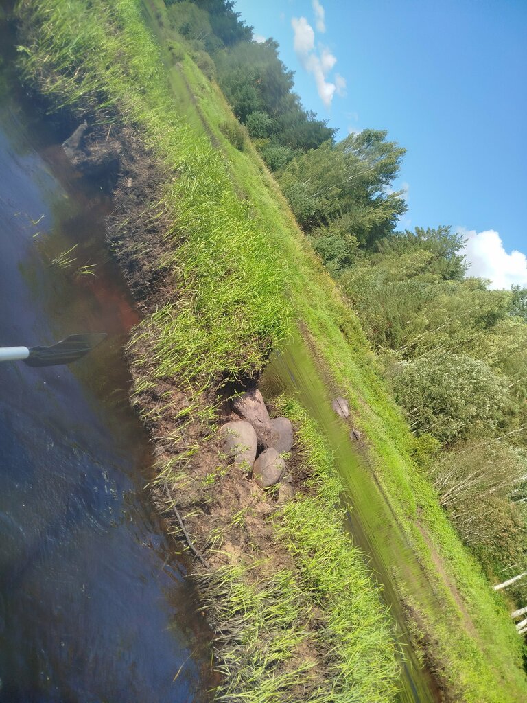 Turistik yerler Руины водяной мельницы, Pskovskaya oblastı, foto