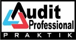 Audit Professinal Praktik (No:46B, Abu Tayib Hukandiy dahasi), muhasebeciler  Kokand'dan