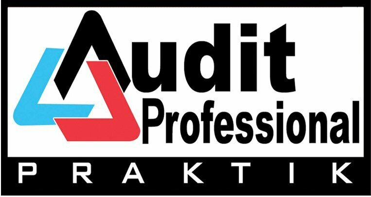 Muhasebeciler Audit Professinal Praktik, Kokand, foto