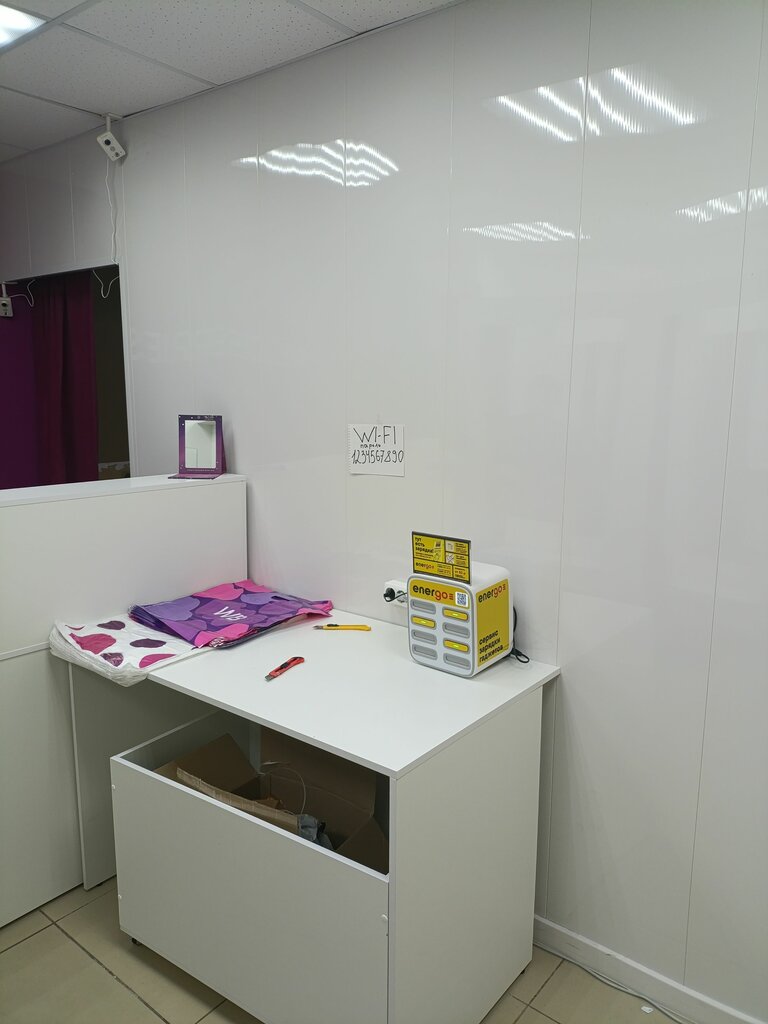 Şarj cihazı kiralama Energo, Moskova, foto