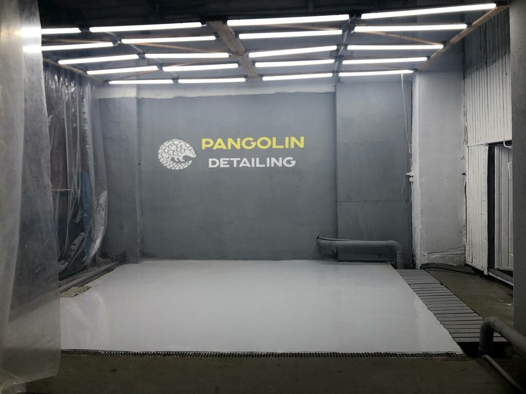 Detaylı oto bakımı Pangolin, Sverdlovskaya oblastı, foto