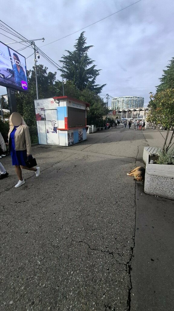 Alkolsüz içecekler Сочинский квас, Soçi, foto