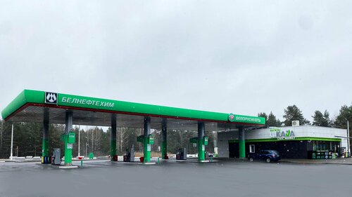 Benzin istasyonu Belorusneft, Gomelskaya oblastı, foto