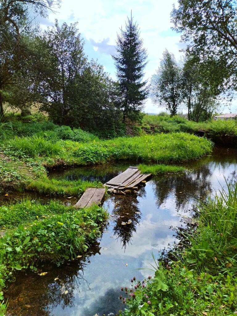 Pınar, çay Spring, stream, Saratovskaya oblastı, foto
