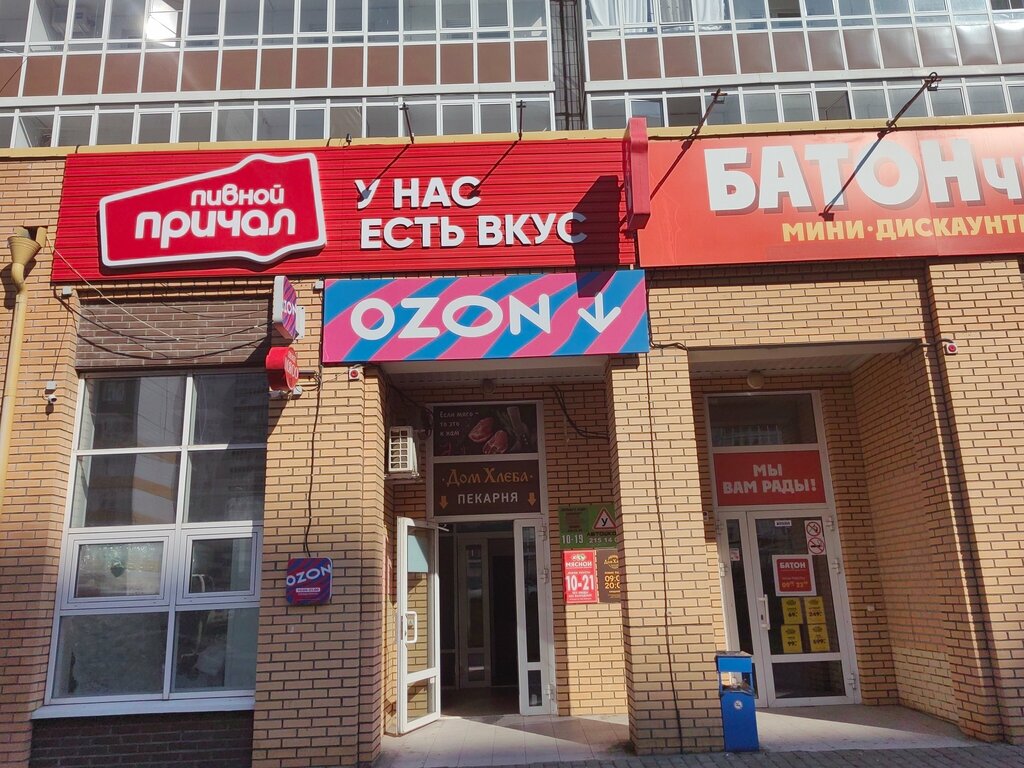Kırtasiyeler Кот учёный, Krasnoyarsk, foto