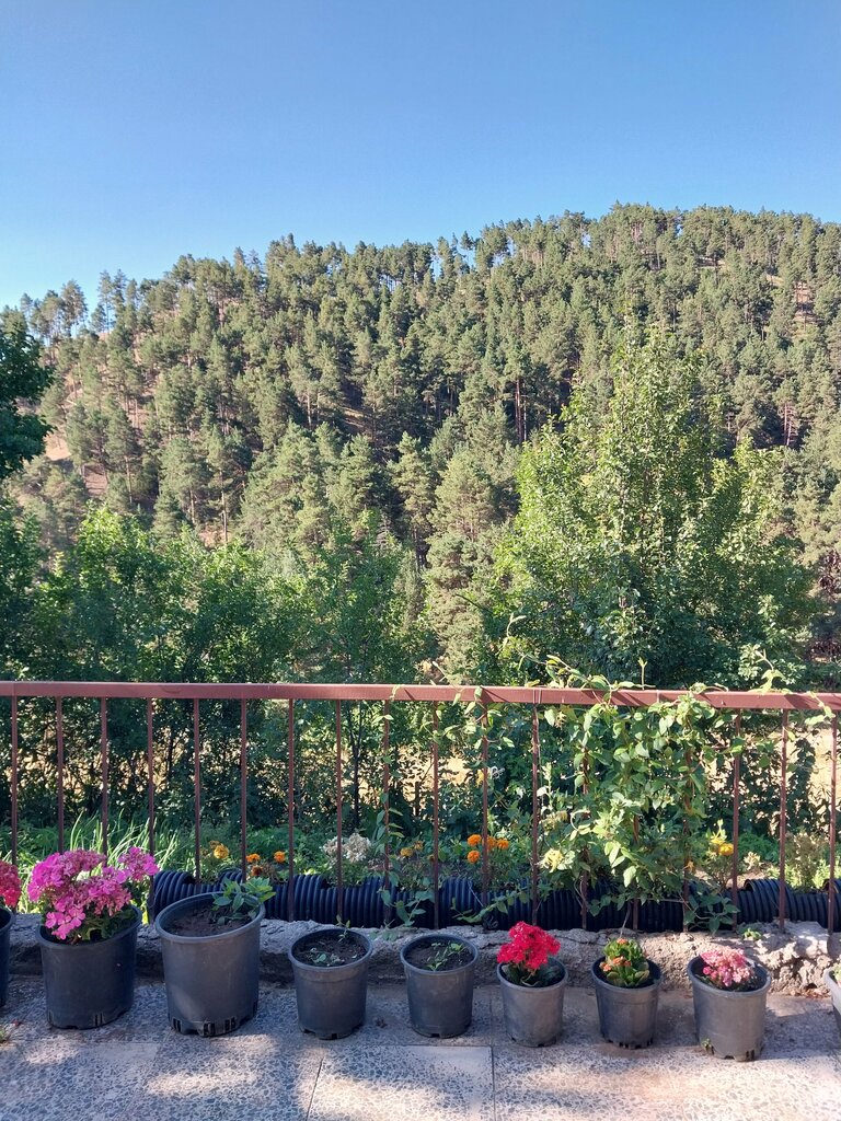 Piknik alanı Çat Yaylası, Çayıralan, foto