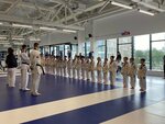 Pioneer (Zhukovskiy proyezd No:10/1), spor kulüpleri  Vidnoye'den