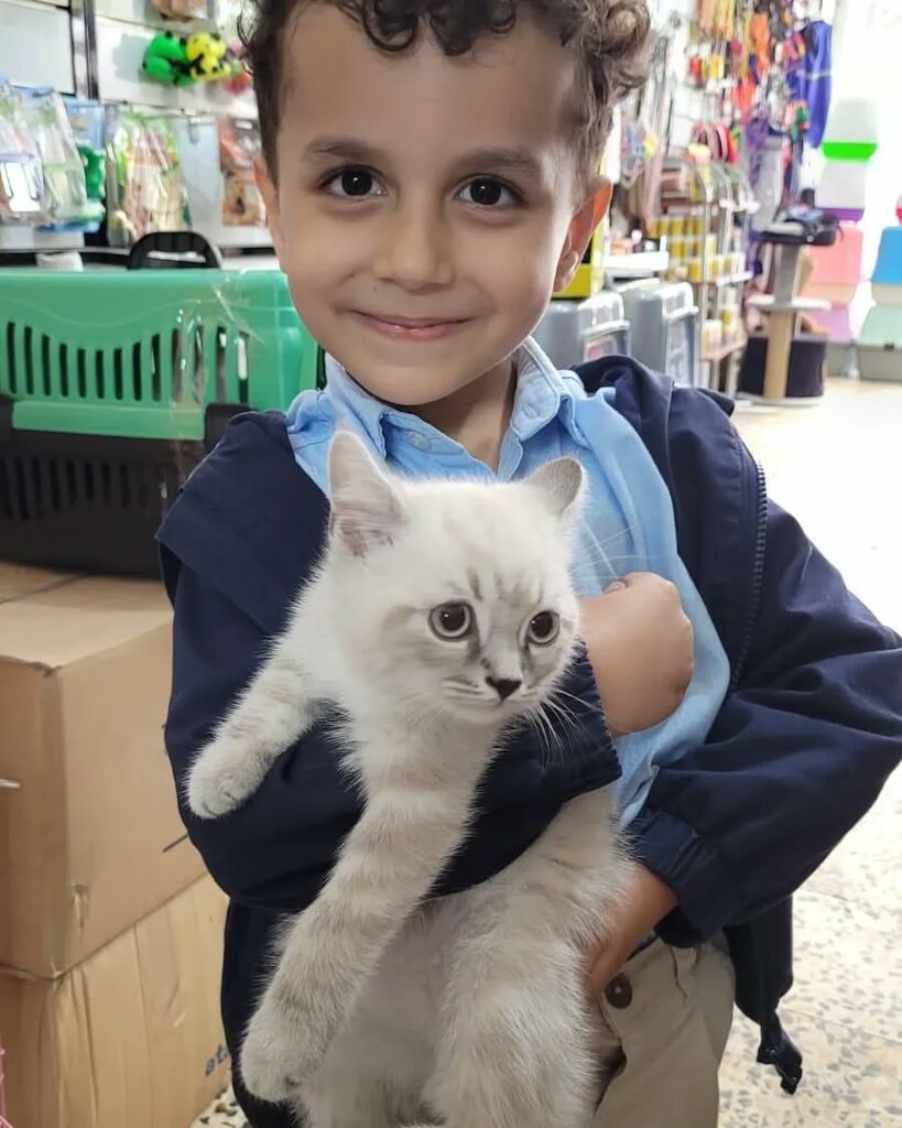 Mobilya mağazaları Tuğran Mobilya Perde Halı Züccaciye, Karaman, foto