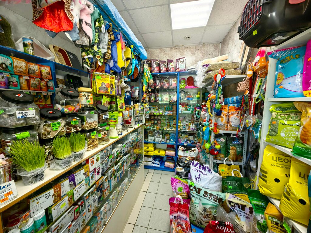 Petshop Кот и пёс, Tula, foto