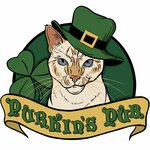 Purkin's pub (Pokrovka Street No:43с2), pub  Moskova'dan