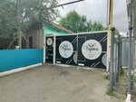 Persona (Altynsarin Street No:149), eğitim merkezleri  Kostanay'dan