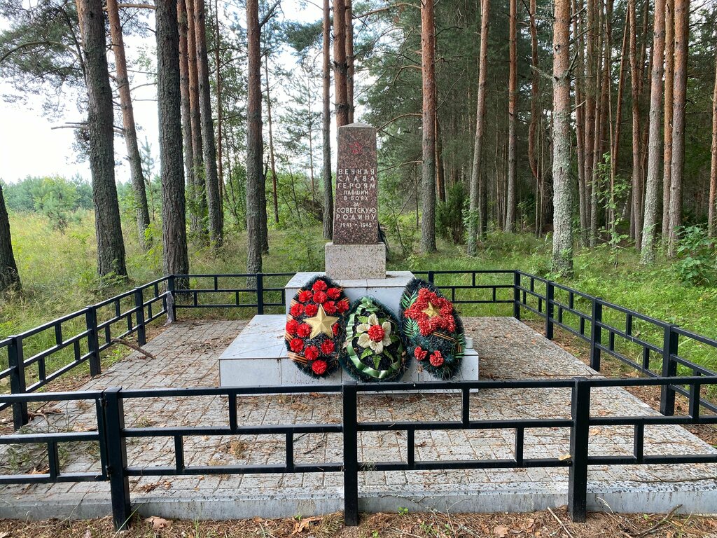 Anıt, heykel Братская могила, Novgorodskaya oblastı, foto