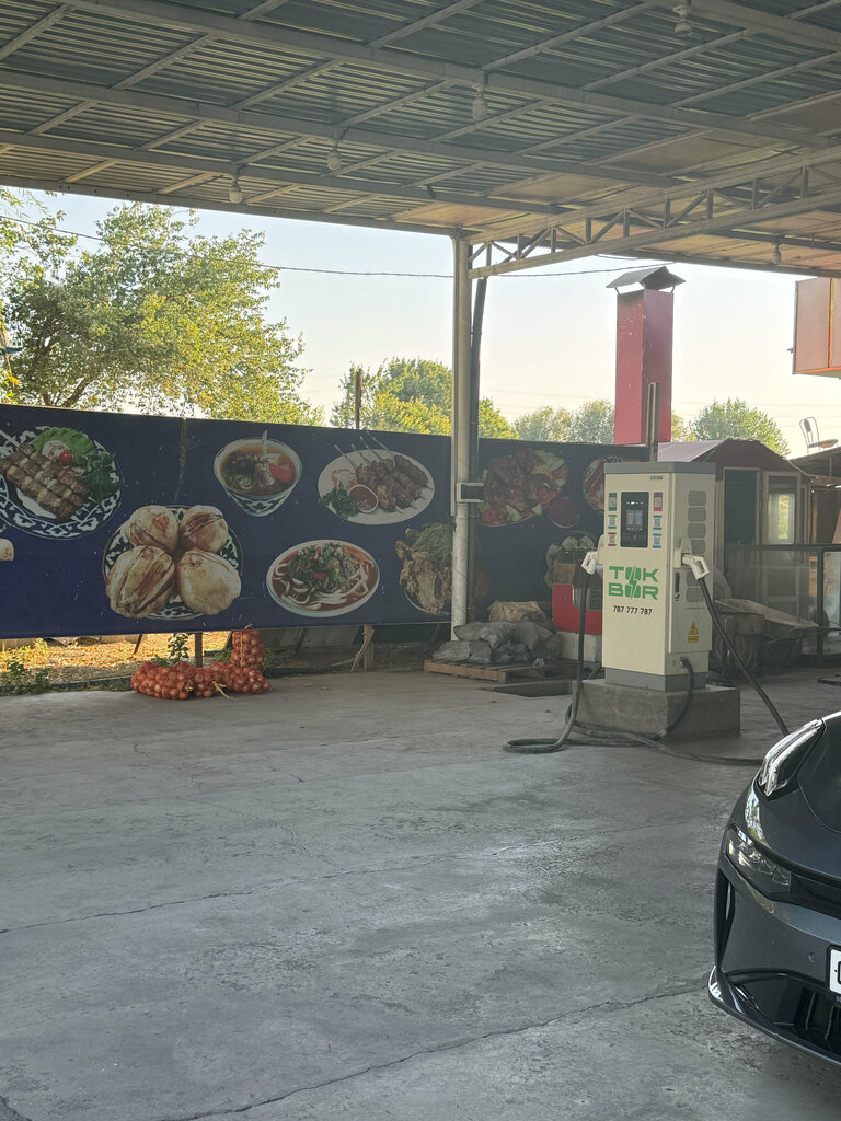 Elektrikli oto şarj istasyonları Tok Bor Hybrid, Cizzak eyaleti, foto