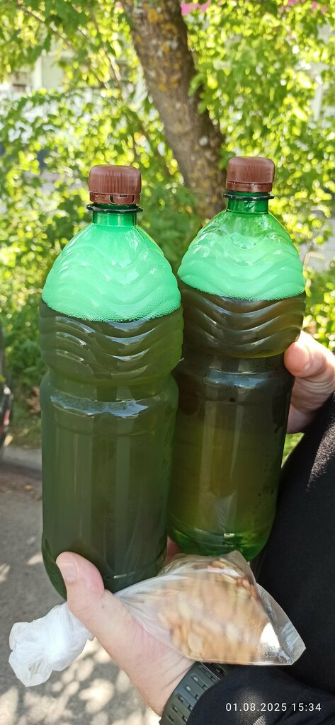 Bira dükkanı Варница, Chudovo, foto