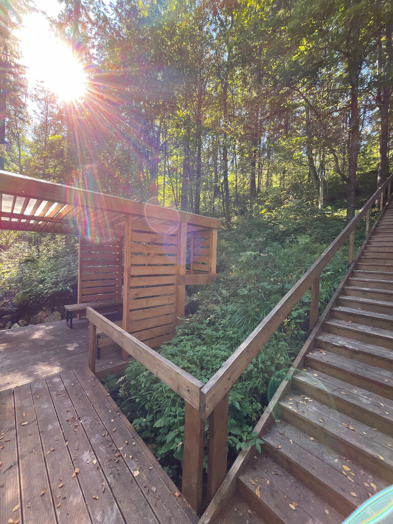 Pınar, çay Spring, stream, Vologodskaya oblastı, foto