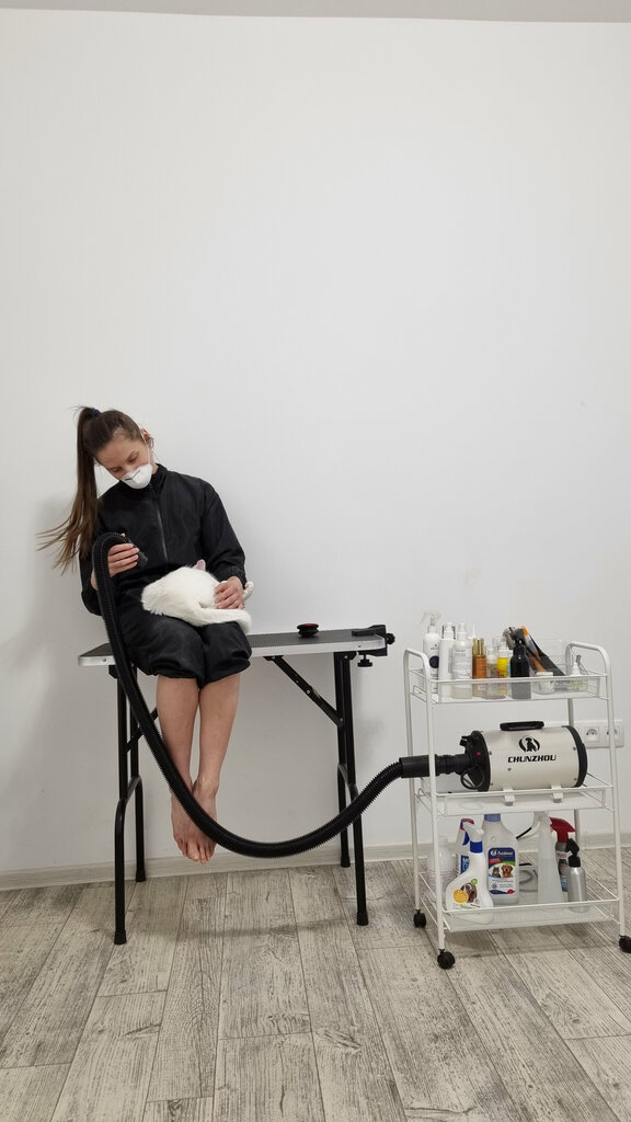 Evcil hayvan kuaförleri Груминг, Volgograd, foto