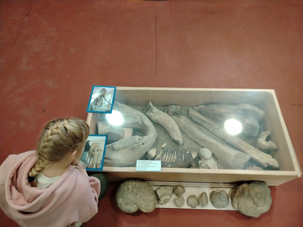 Müzeler ve sanat galerileri Краеведческий музей, Prohladny, foto