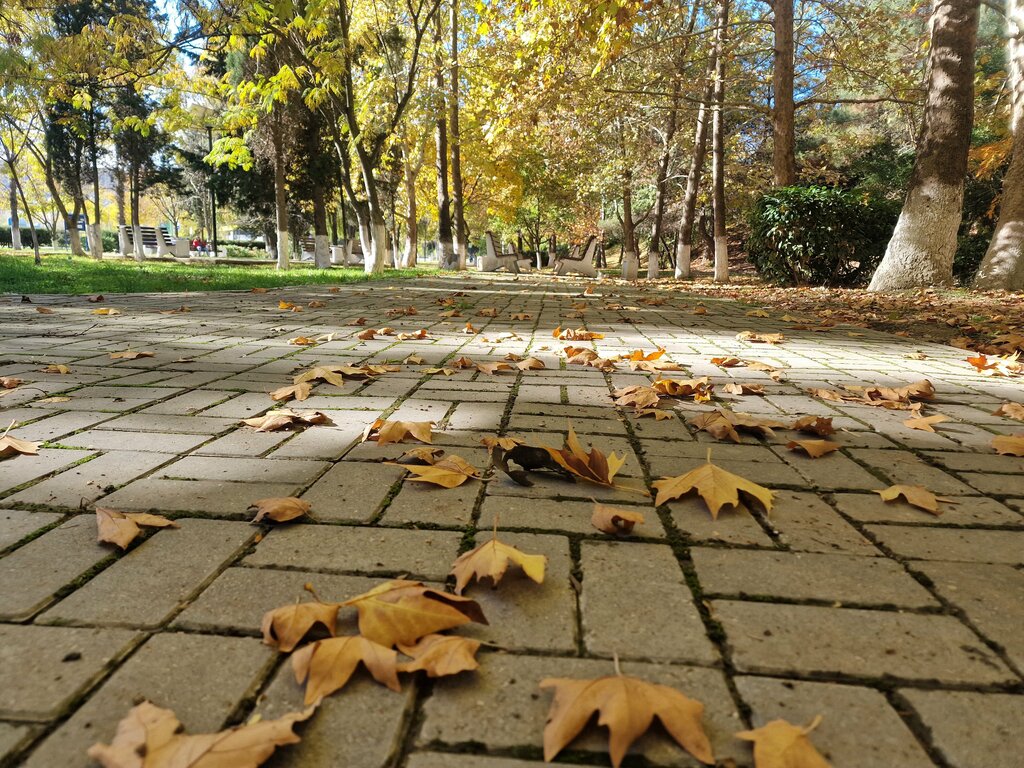 Kültür ve eğlence parkları Молодёжный сквер, İnkerman, foto