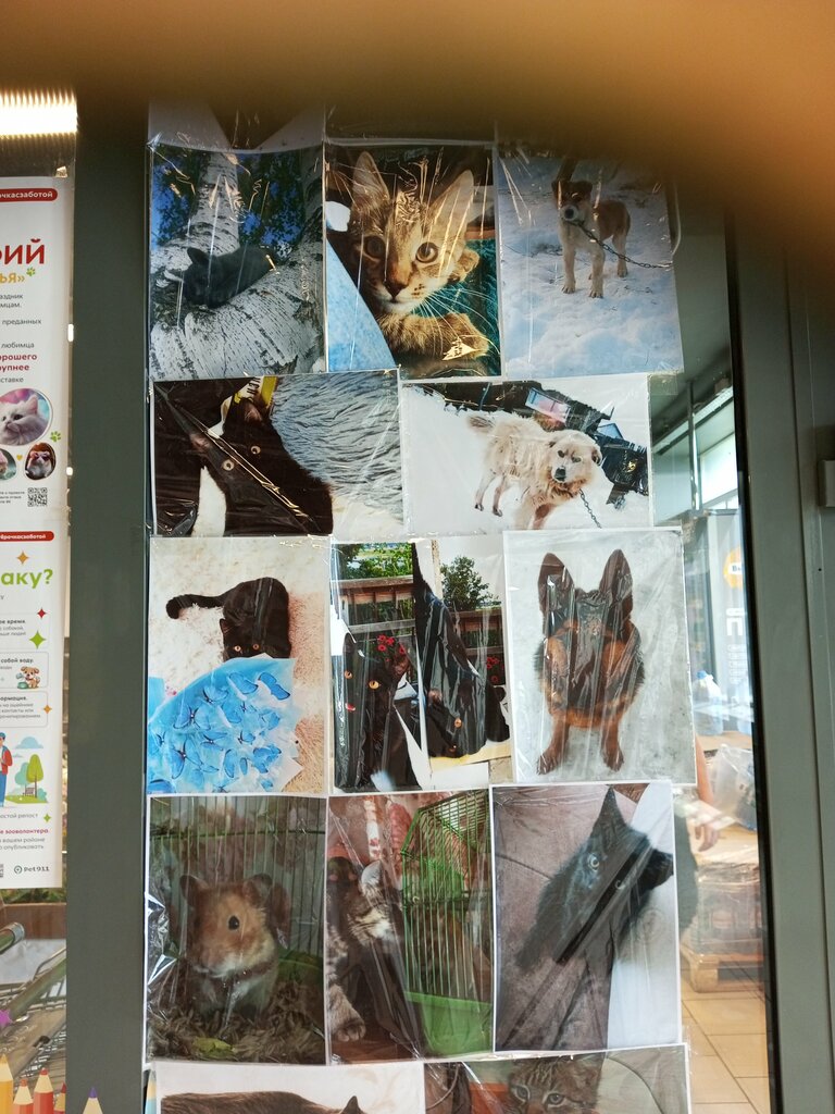 Süpermarket Pyatyorochka, Novosibirskaya oblastı, foto