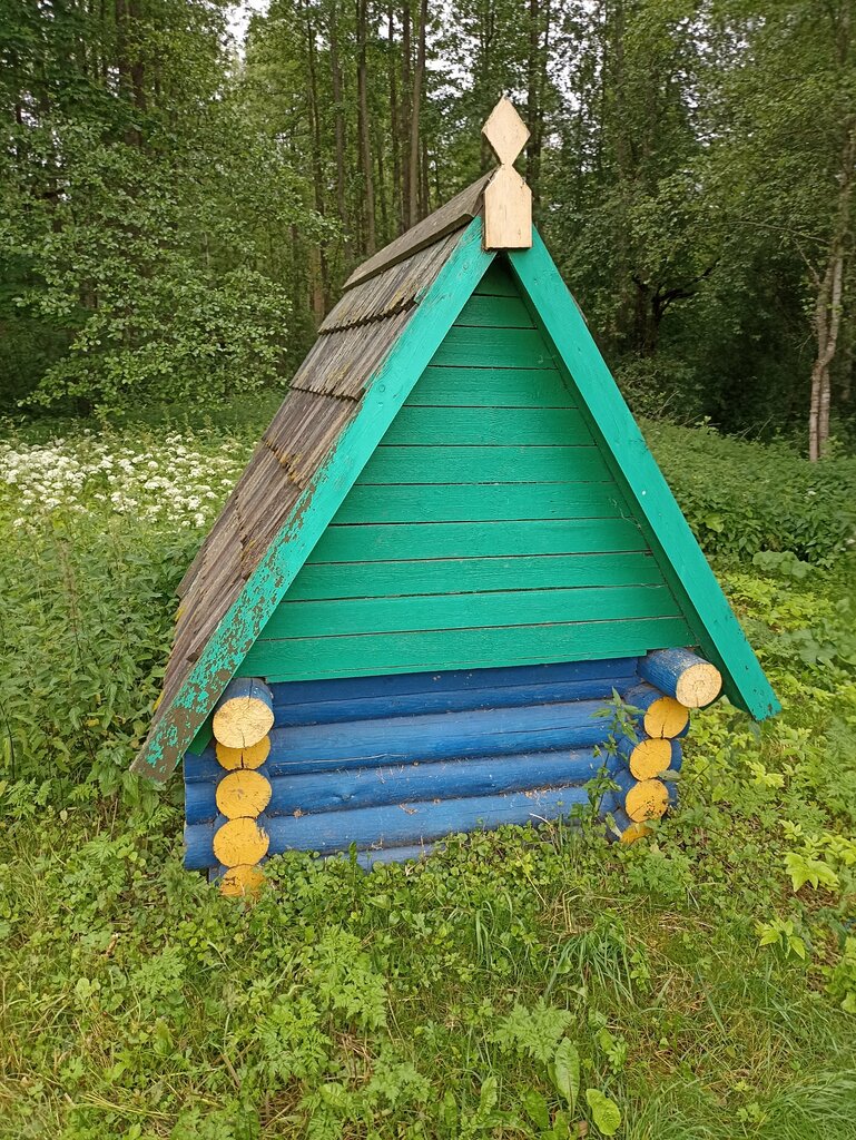 Pınar, çay Теремок, Vitebskaya oblastı, foto