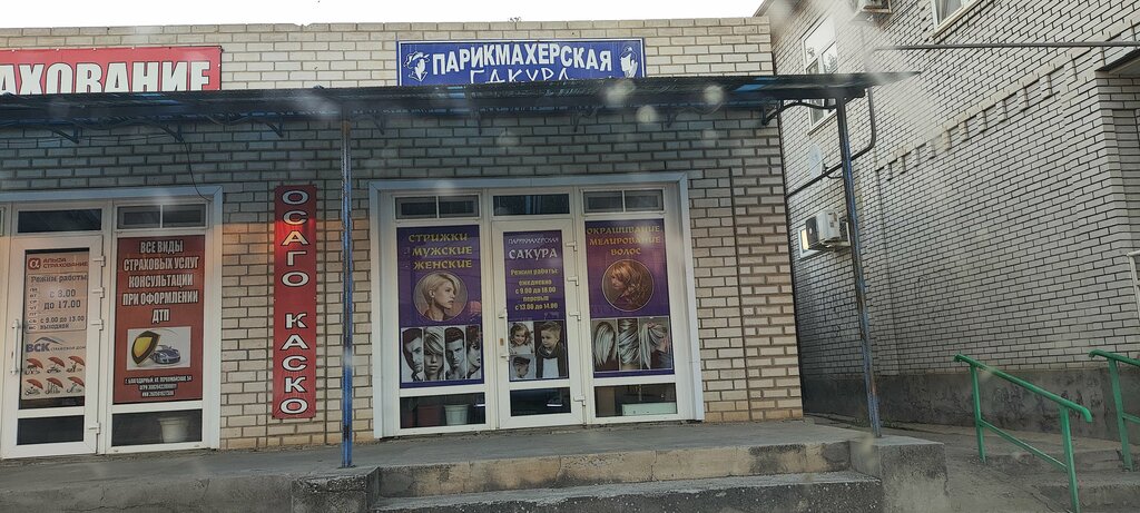 Kuaförler Сакура, Blagodarny, foto