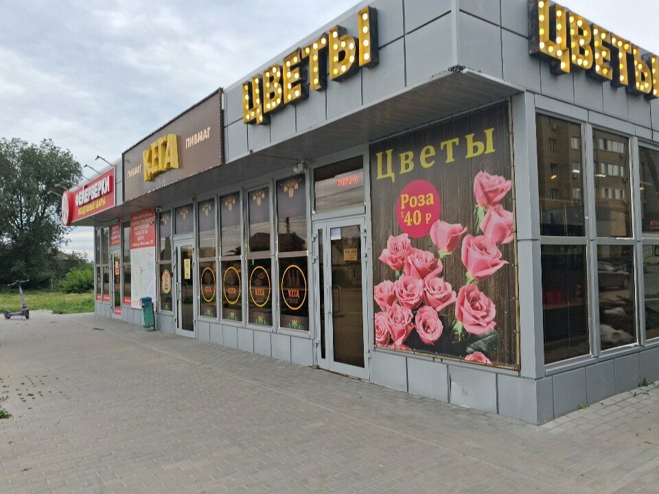 Kuaförler Стрикси, Engels, foto