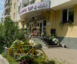Cestamoi (Srednyaya Pervomayskaya Street No:15), güzellik salonu  Moskova'dan