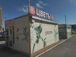 Цветы (Khanty-Mansi Autonomous Area, Nizhnevartovsk, Khanty-Mansiyskaya ulitsa), çiçekçiler  Nijnevartovsk'tan