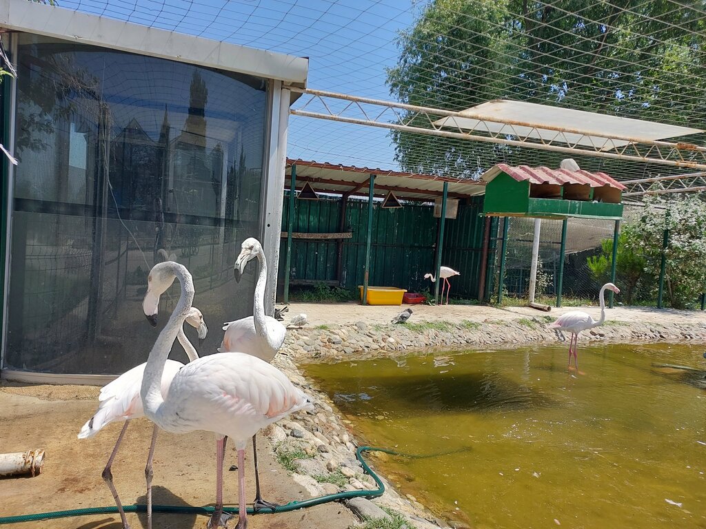 Parklar ve ormanlar Gölya Tabiat Parkı, Arifiye, foto