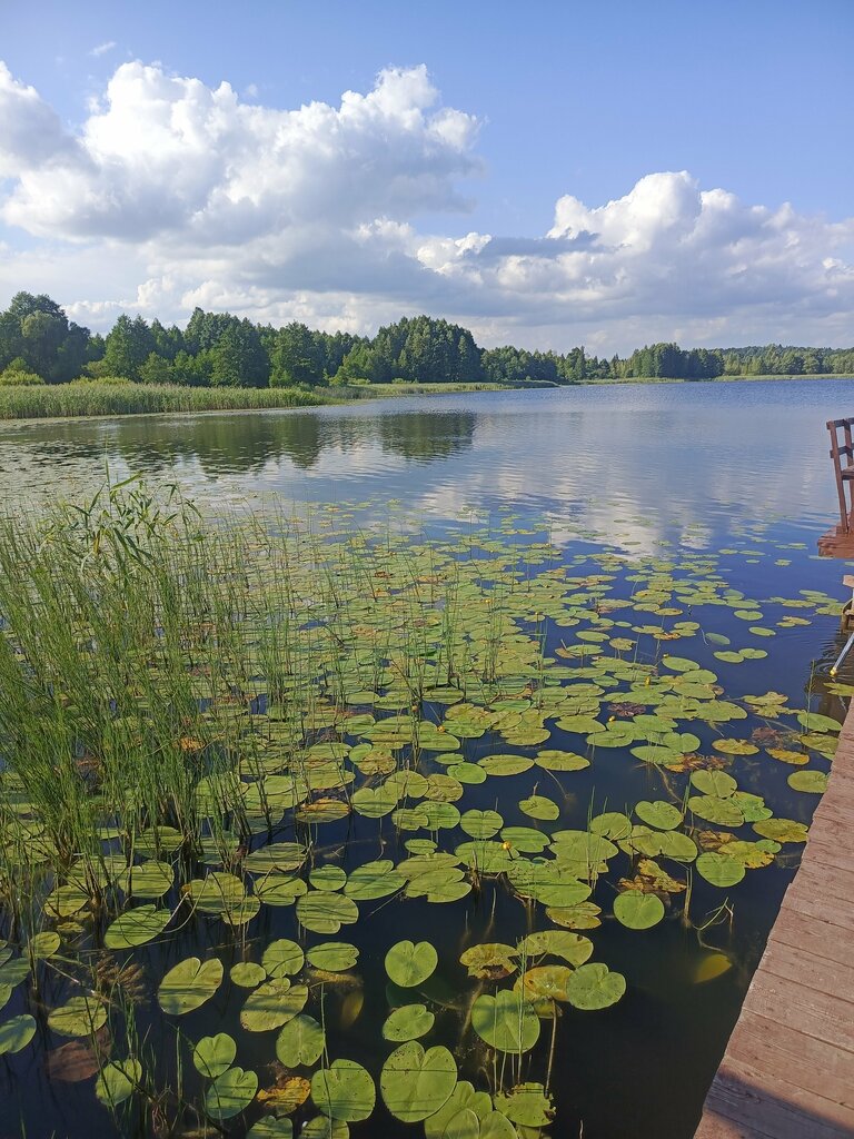Hamamlar Баня, Vitebskaya oblastı, foto