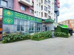Ферганская долина (Bratev Kashirinykh Street No:158), kafe  Çeliabinsk'ten