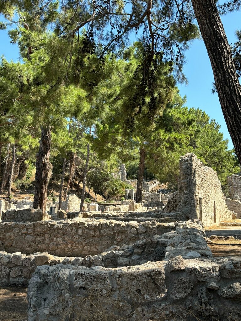 Plaj Phaselis Orta Liman, Kemer, foto
