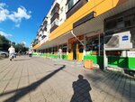 Цветочный город (Lenina Avenue No:45), çiçekçiler  Sterlitamak'tan