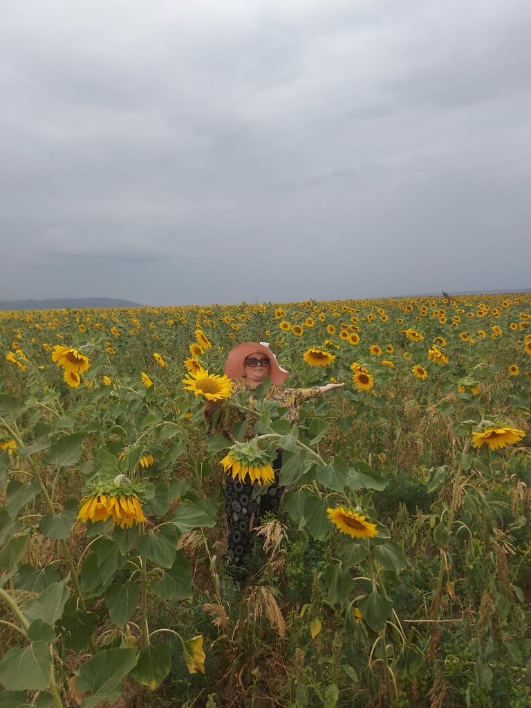 Saunalar Keremet SPA, Semey, foto