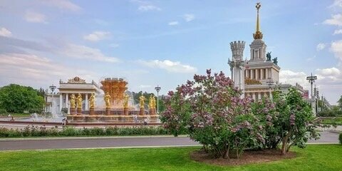 Meydan Yunnatov Public Garden, Moskova, foto
