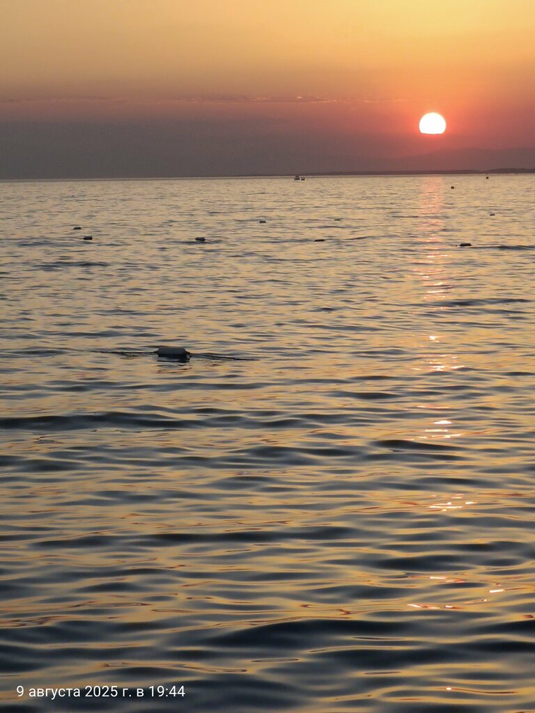 Konut blokları Tekün Sitesi, Manavgat, foto