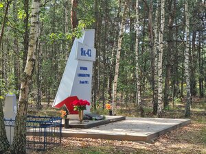 Погибшим в авиакатастрофе 28 июня 1982 года (Homieĺskaja voblasć, Naraŭlanski rajon, Vierbavicki Rural Council), anıt, heykel  Gomelskaya oblastından