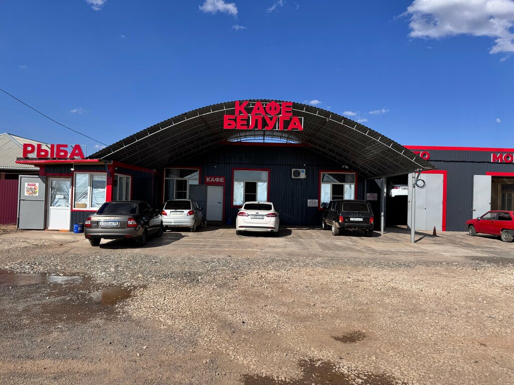 Kafe Кафе, Kalmukya, foto