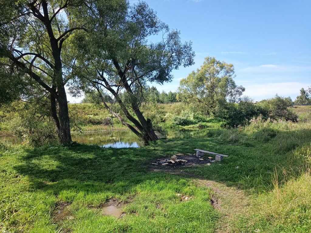 Plaj Пляж, Moskova ve Moskovskaya oblastı, foto