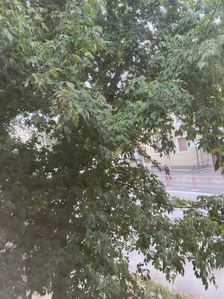 Kuaförler Kaef hair, Rudny, foto