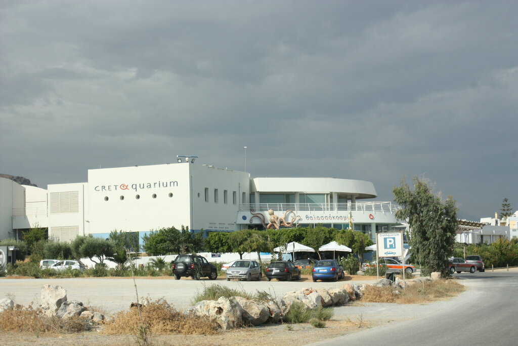 Akvaryumlar CretAquarium Thalassokosmos, Dünya, foto