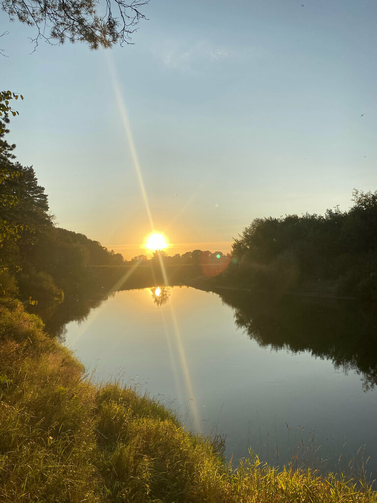 Piknik alanı Туристическая стоянка, Kalujskaya oblastı, foto