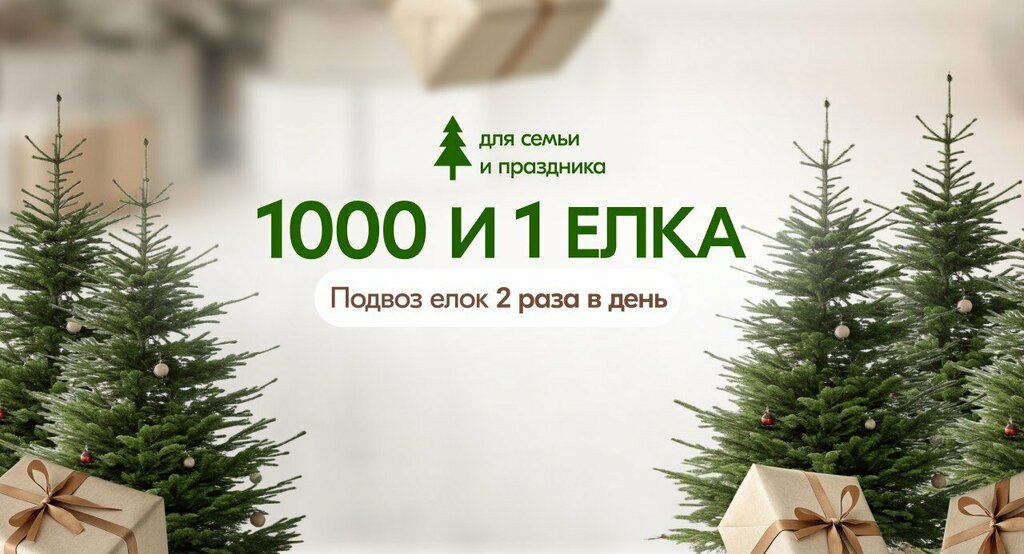 Çam ağacı pazarı 1000 i 1 Elka, Moskova, foto