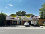 Sam Vet Servis (Abdurauf Fitrat ko'chasi No:13), veteriner eczaneleri  Semerkant'tan