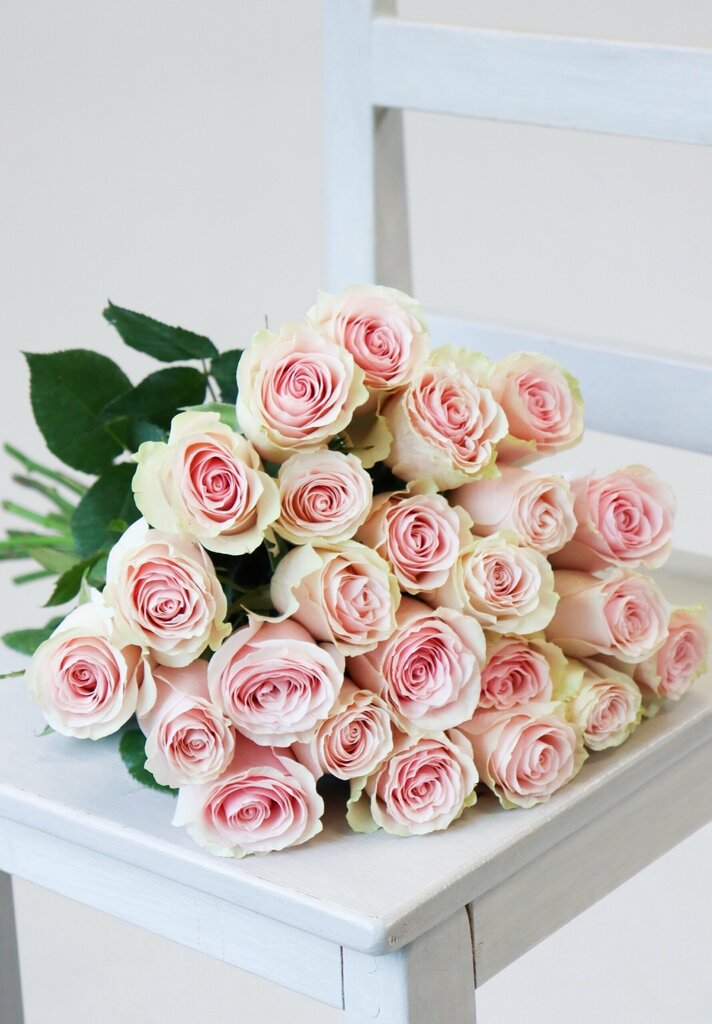 Çiçekçiler Цветы и Кофе, Pskovskaya oblastı, foto