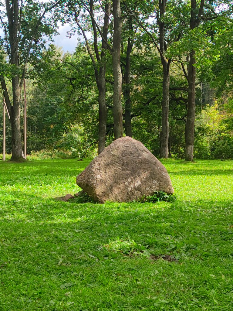 Turistik yerler Валун в усадьбе Фредериксов, Saint‑Petersburg ve Leningradskaya oblastı, foto